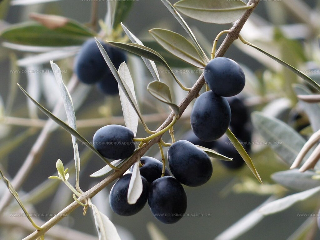 What Do Olives Taste Like? A Burst of Flavors on Your Palate - Cooking ...